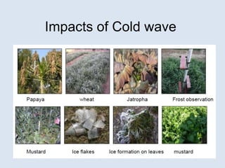 Impacts of Heat,Cold Waves, Stroms And Tropical Cyclones | PPT
