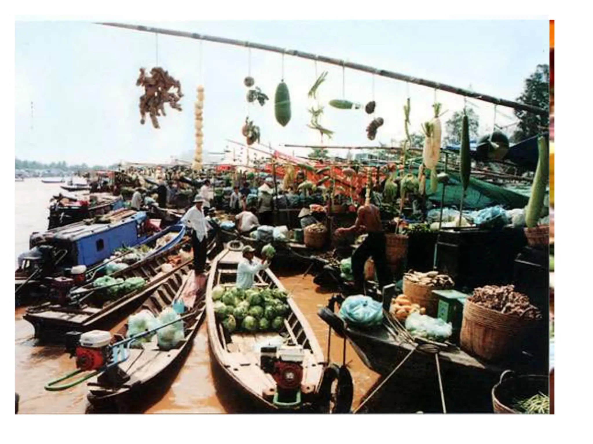 Bai giang Am thuc mien Nam cua Viet Nam.ppt