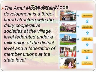 Amul Facts | PPTX