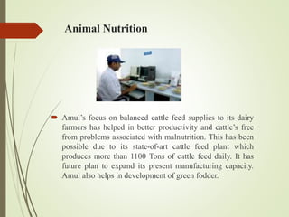 Amul | PPTX