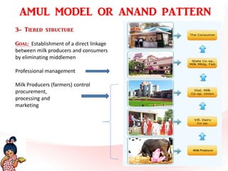 A complete overview on Amul 2017 - Presentation | PPT