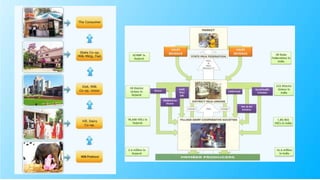 Amul company Business Model | PPTX
