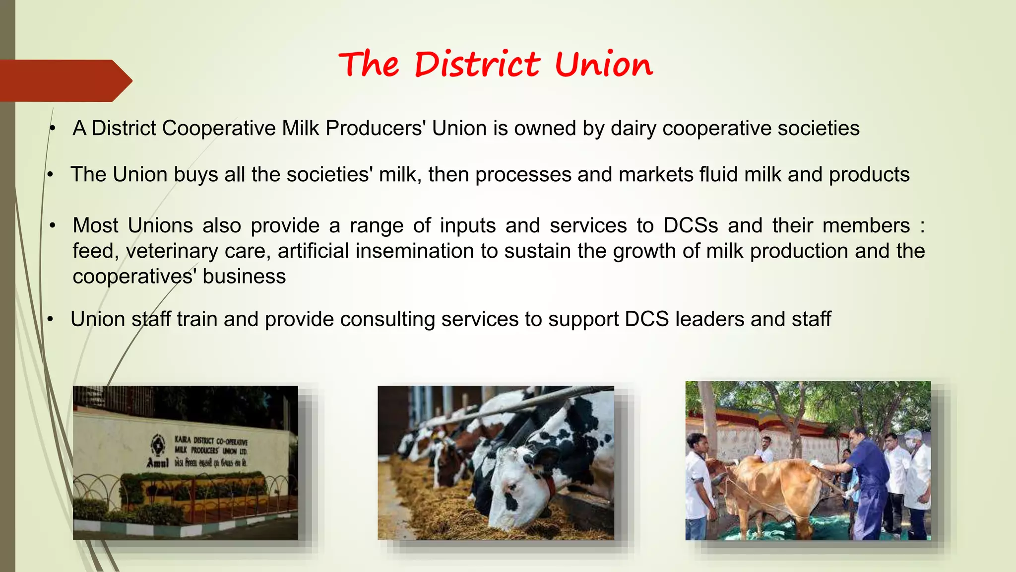 Amul dairy operations | PPTX