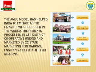 Amul full presentation | PPTX