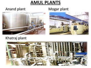 Amul butter recent | PPTX