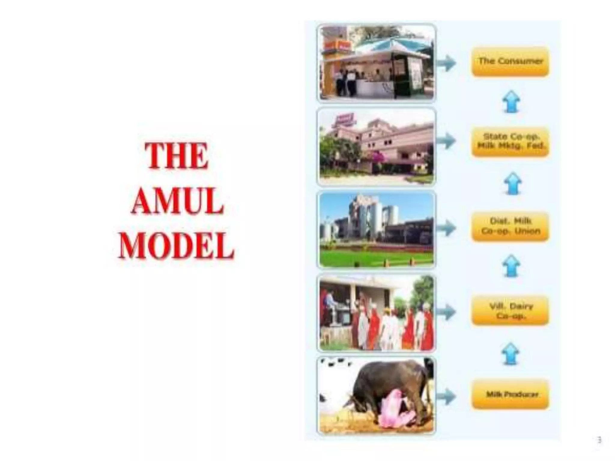 Amul dairy presentation | PPT