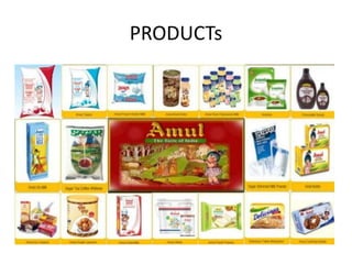 Amul dairy presentation | PPTX