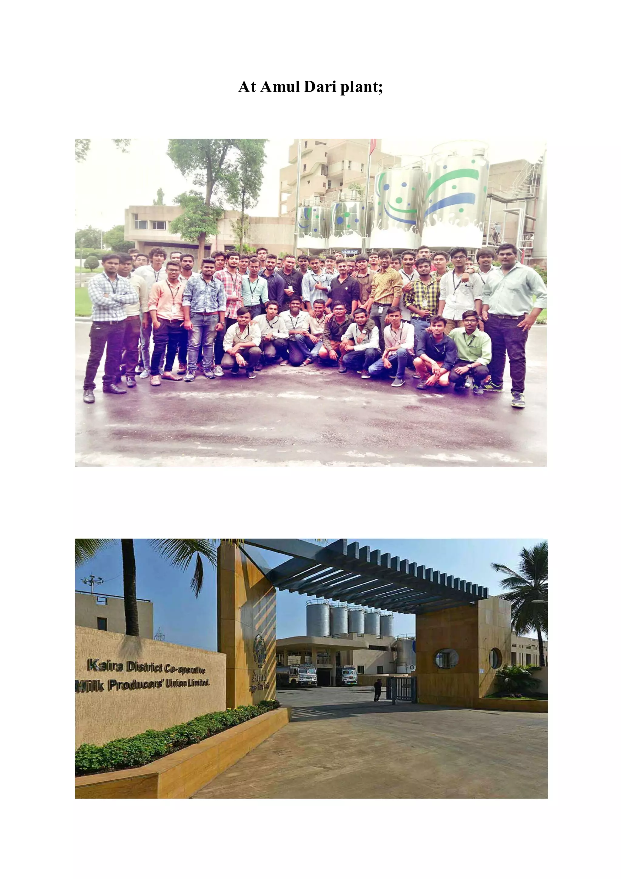 amul dairy visit report | PDF