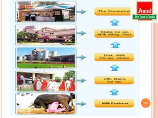 Amul distribution network | PPTX