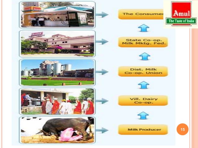 Amul distribution network | PPTX