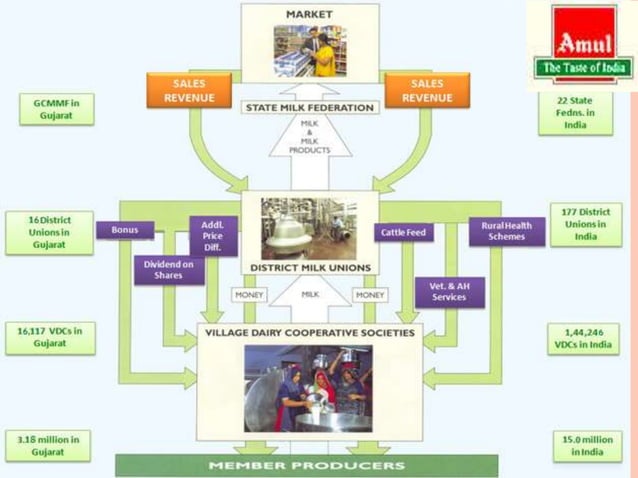 Amul distribution network | PPTX