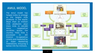 Cooperative Analysis: Amul India | PPTX