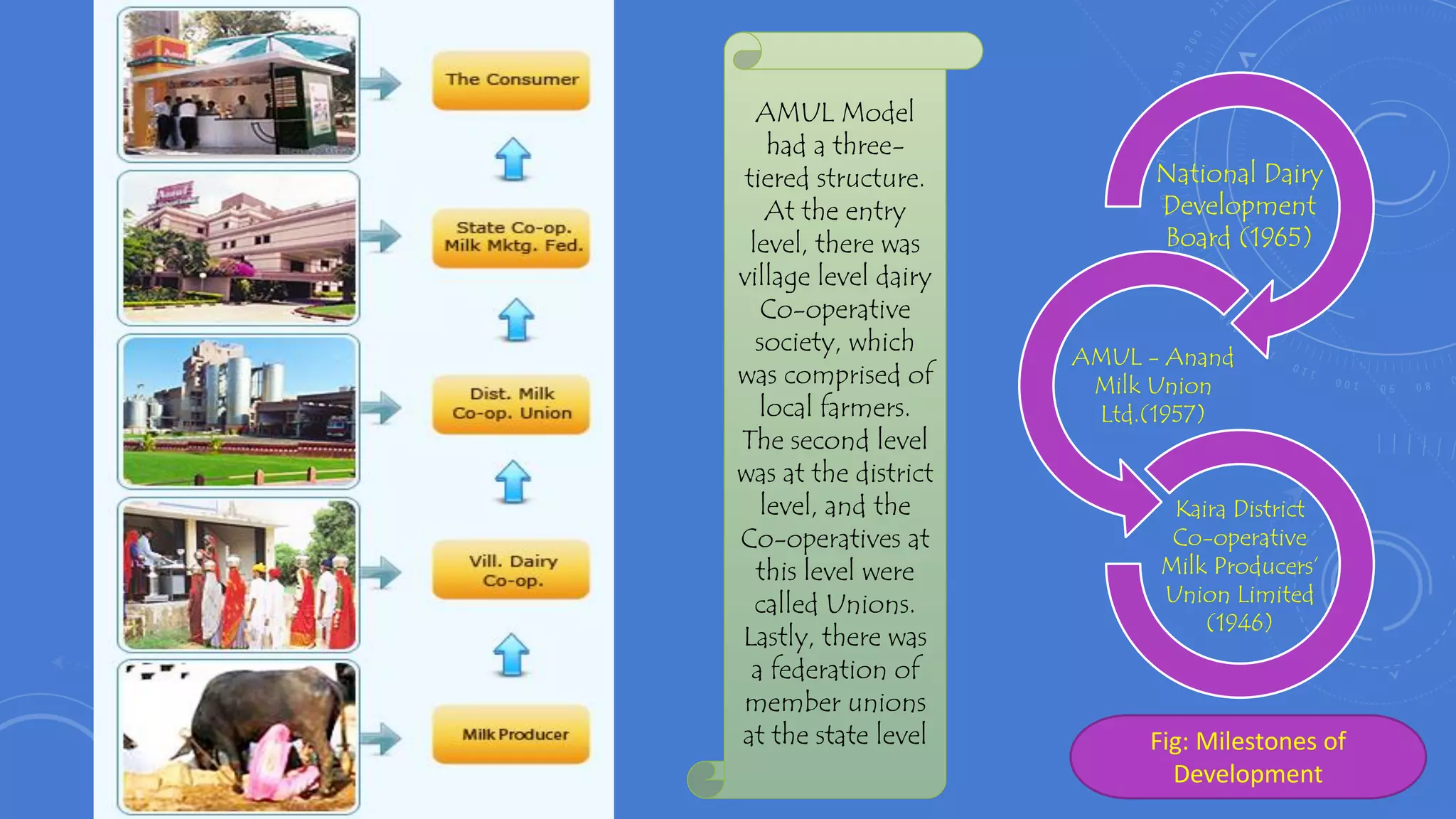 Amul India Case study | PDF