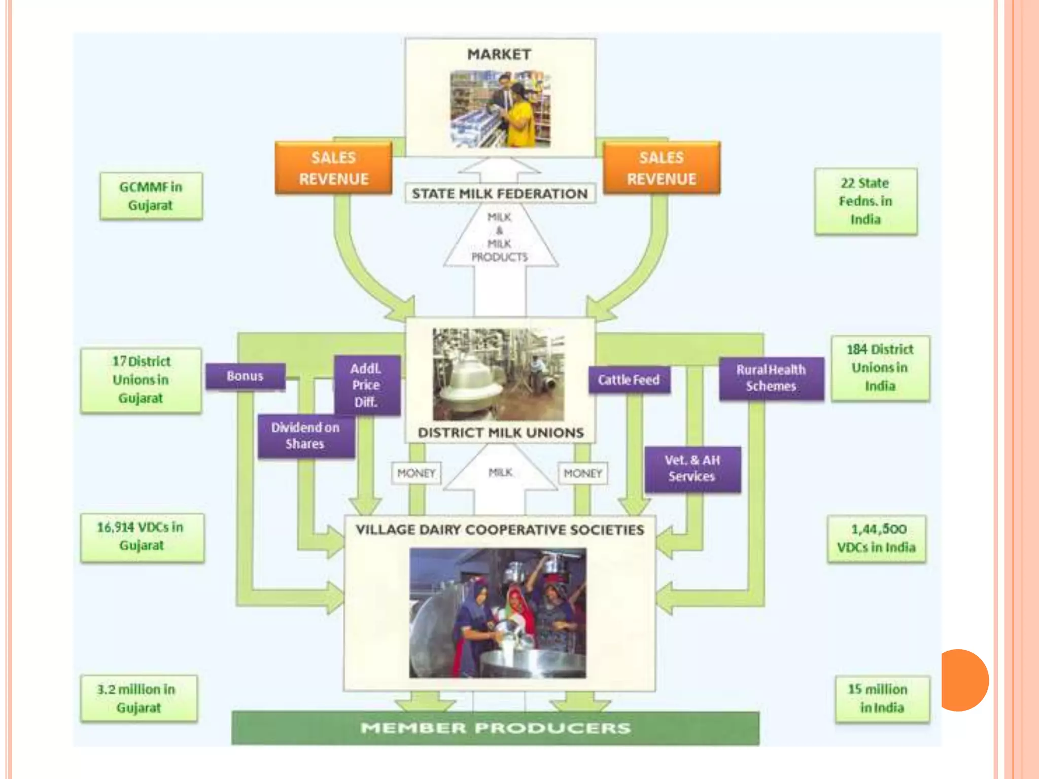 Amul in rural markets | PPTX | Agriculture | Industries
