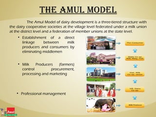 AMUL THE TASTE OF INDIA | PPT