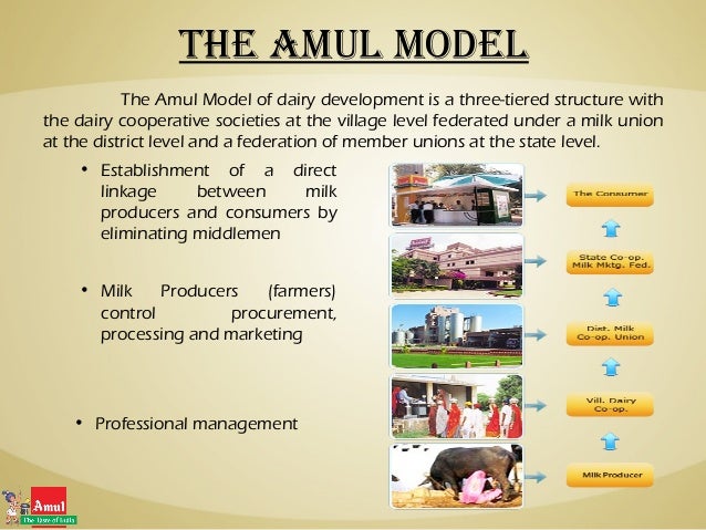 AMUL THE TASTE OF INDIA