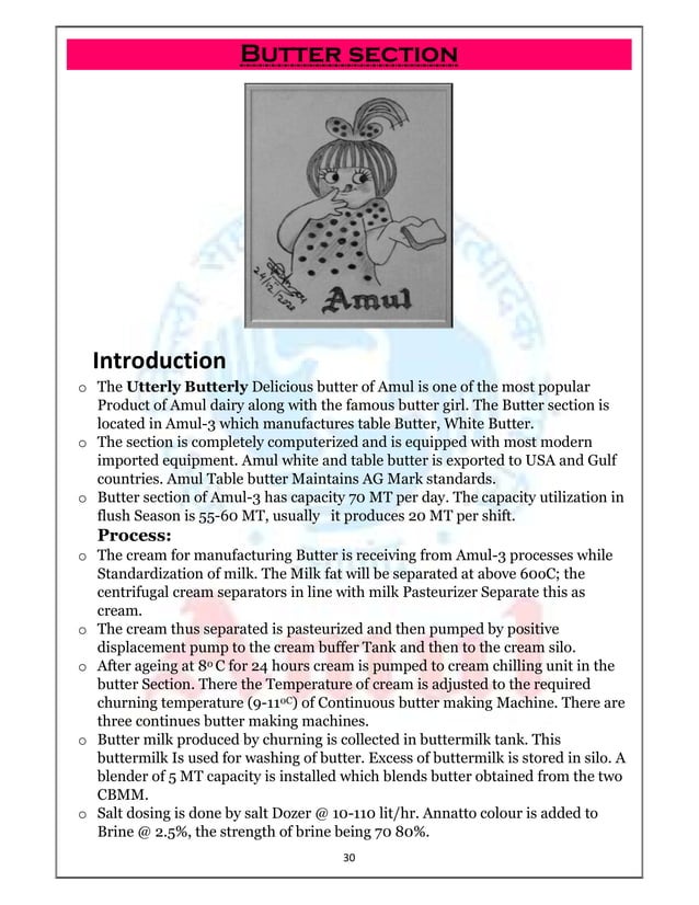 AMUL Summer Internship Report........pdf