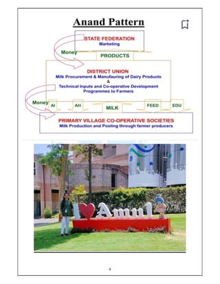 AMUL Summer Internship Report........pdf