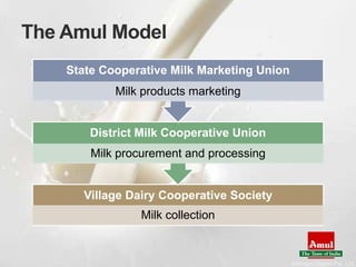 Amul Supply Chain Management by Krupesh Shah!! | PPSX