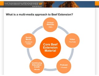 A Multi-Media Approach to Beef Extension | PDF