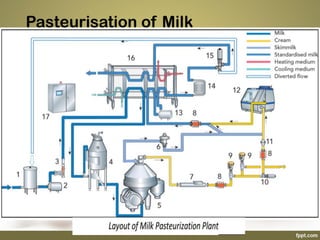 In plant training at Amul Dudhmotisagar Dairy, Dharuhera | PDF