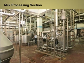 In plant training at Amul Dudhmotisagar Dairy, Dharuhera | PDF