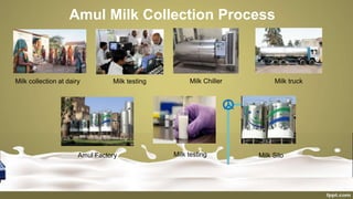 Amul | PPT