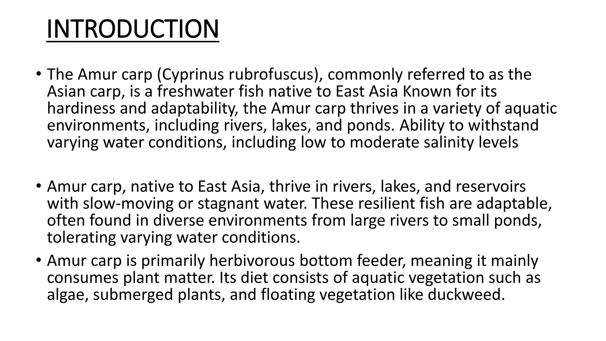 Amur carp karan aquafarming (fac -423).pptx