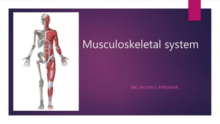A)musculoskeletal system | PPTX