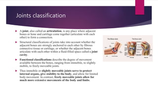 A)musculoskeletal system | PPTX