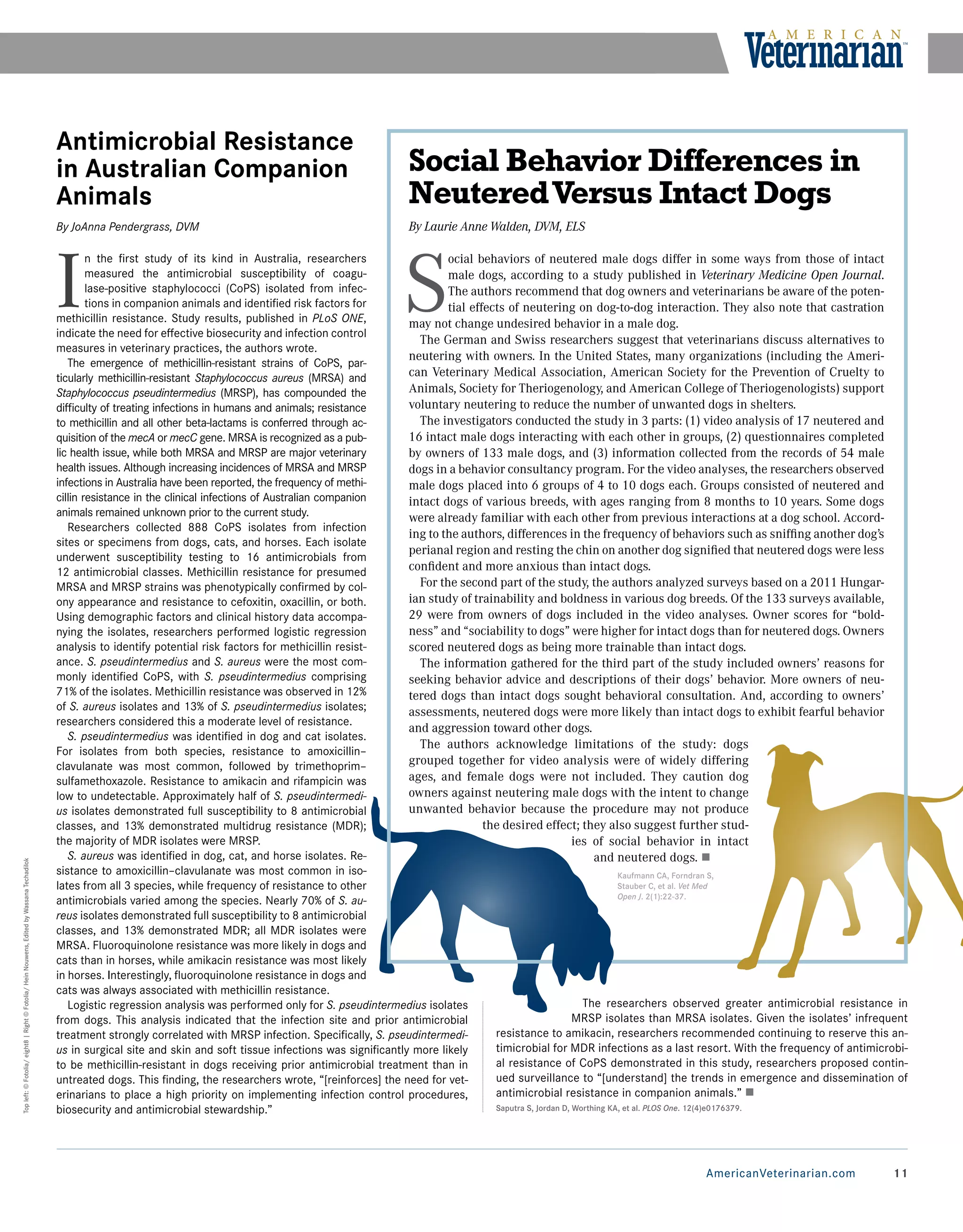Am vet news- article on baycom a1c test now available for cats and dogs ...