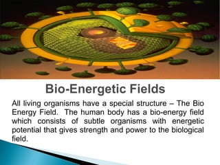 Amized Fusion Technology Introduced | PPT