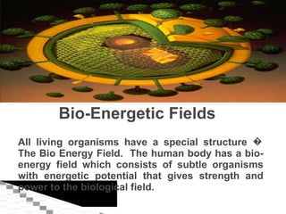 Everything is Energy | PPT