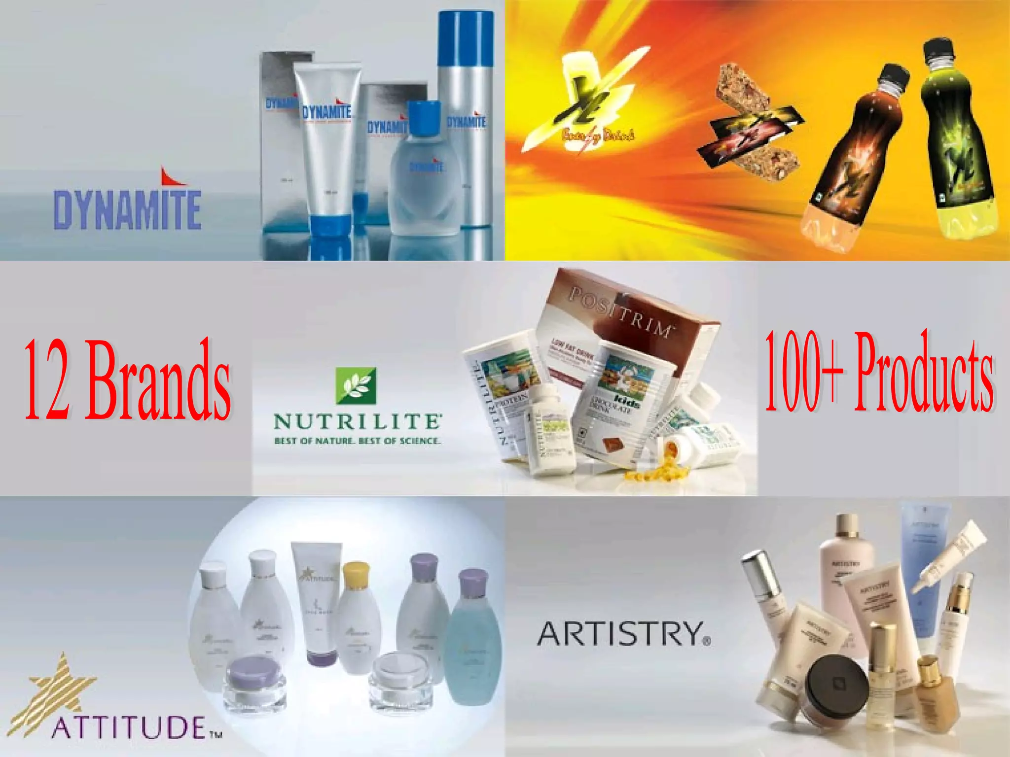 Amway Plan 2009 | PPS