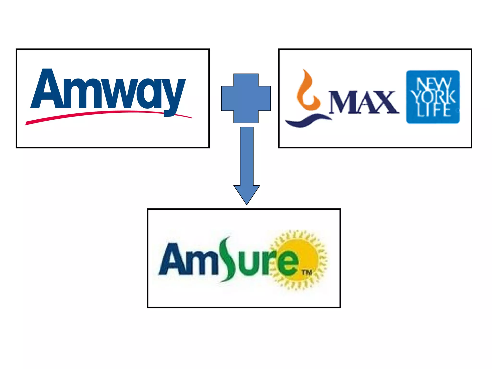 Amway Plan 2009 | PPT