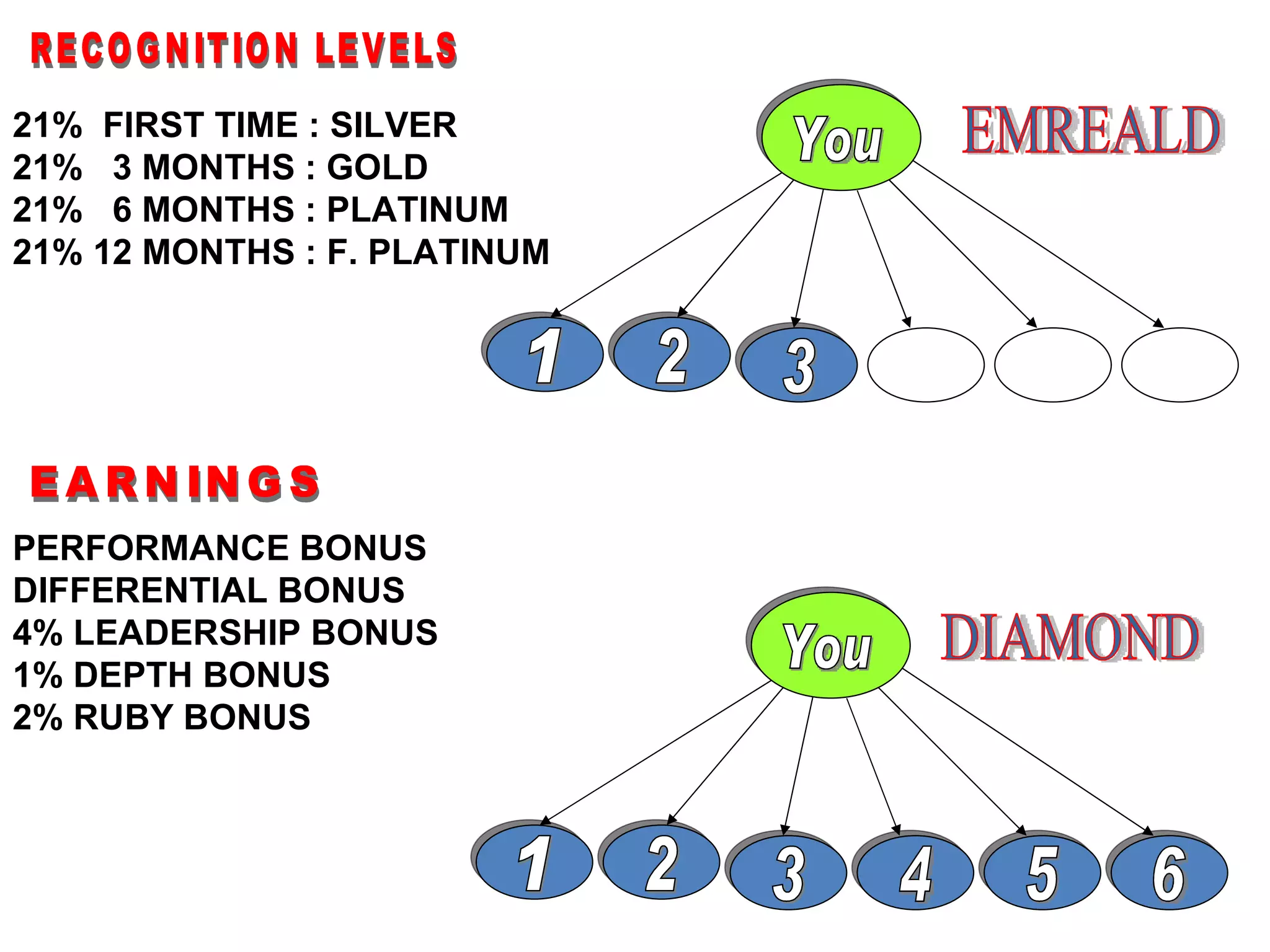 Amway Plan 2009 | PPS