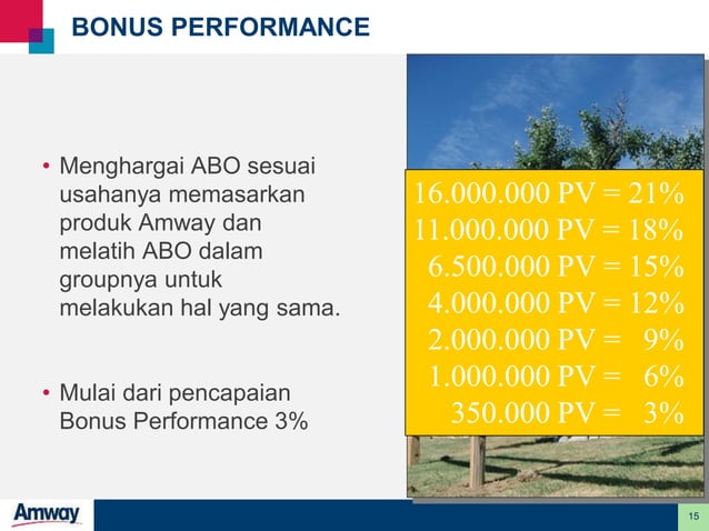Amway Basic Compensation Plan - Peluang Untuk Semua | PDF