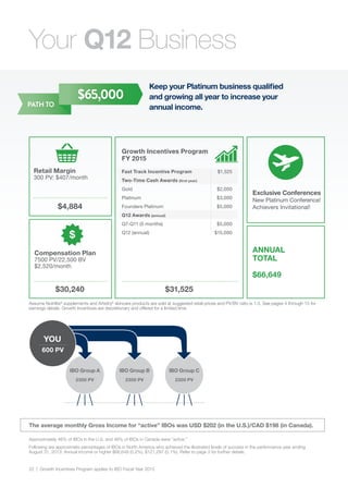 Amway gi summary 2015 | PDF