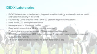 Case Study: From Excel to PPM – IDEXX’s Move to Better Manage Its ...