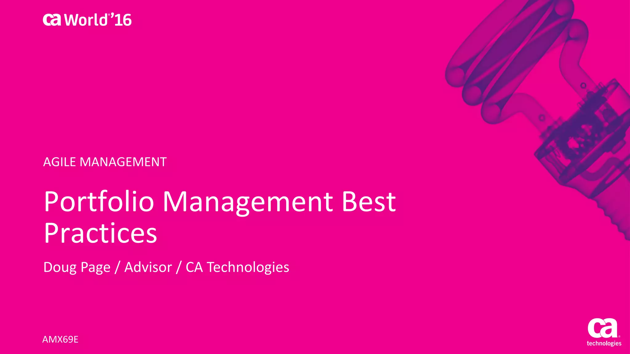 Portfolio Management Best Practices | PDF