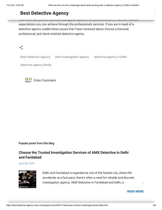 What are the common challenges faced while working with a detective ...