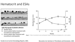 Uremic Platelet Dysfunction and the Kidney Biopsy | PPTX