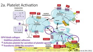 Uremic Platelet Dysfunction and the Kidney Biopsy | PPT