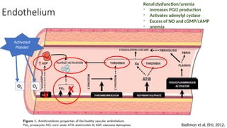Uremic Platelet Dysfunction and the Kidney Biopsy | PPT