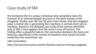 Amygdala | PPTX | Brain and Nervous System Disorders | Diseases and ...