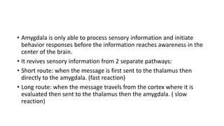 Amygdala | PPTX