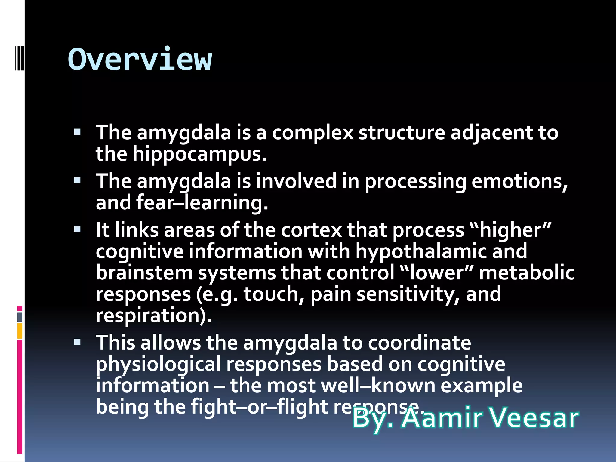 Amygdala | PPTX