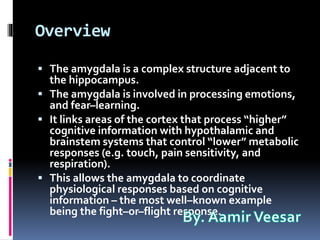 Amygdala | PPTX