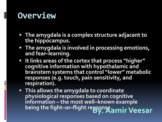 Amygdala | PPTX | Brain and Nervous System Disorders | Diseases and ...