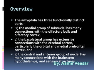 Amygdala | PPTX | Brain and Nervous System Disorders | Diseases and ...